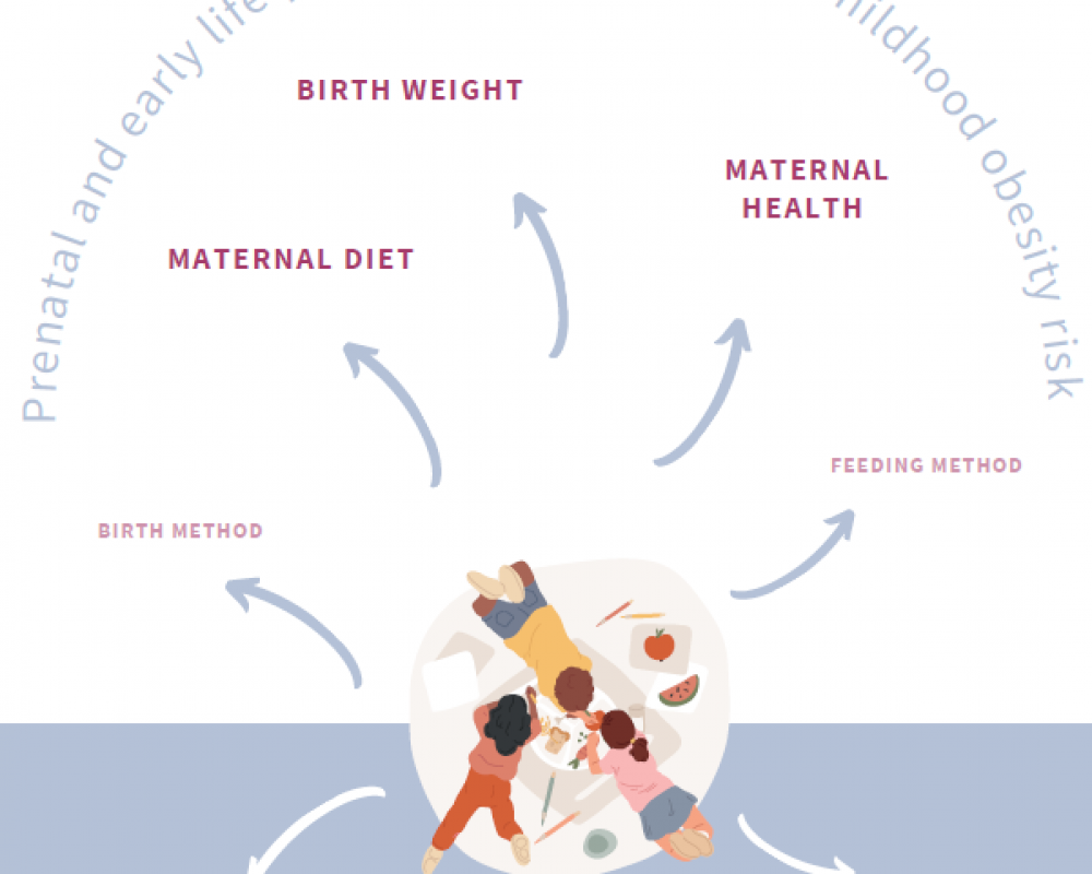 Infographics | World Obesity Federation